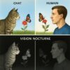 Comment voit un chat